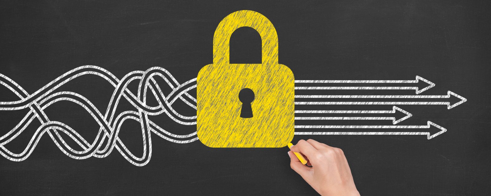 Infographic - The Anatomy of Cybersecurity — Early Adopter